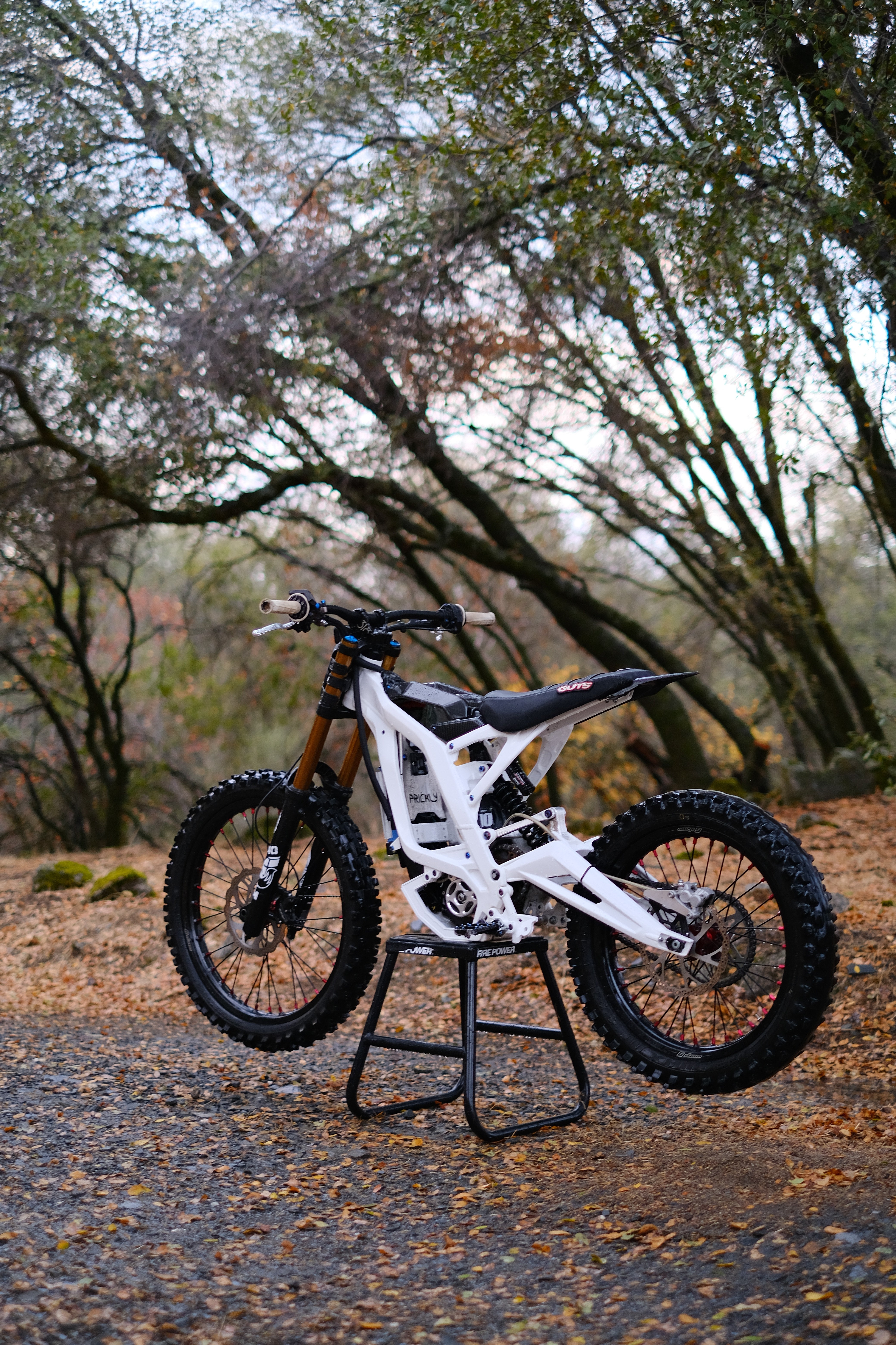 SURRON – Page 2 – Forged Racing